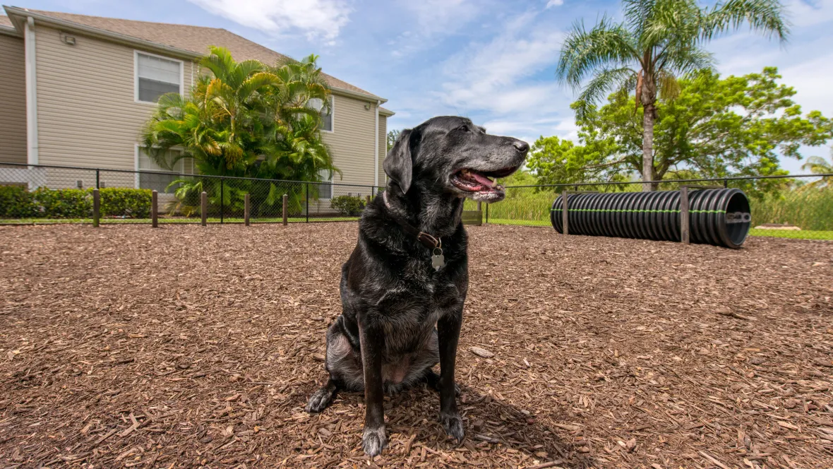 Meadow Lakes Apartments | Your Oasis in Naples, Florida